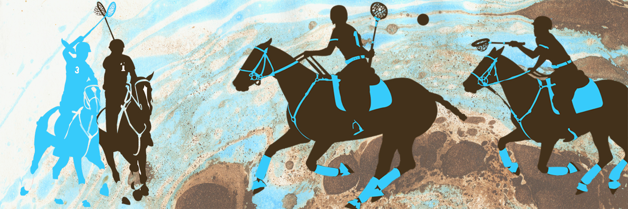 Shop | SC Polocrosse Equipment