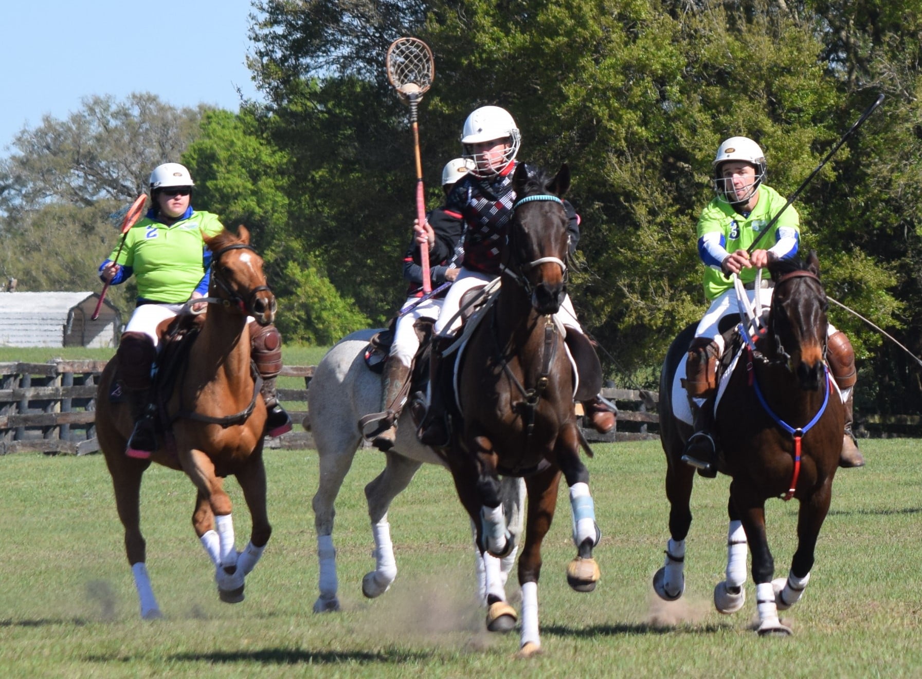 10 Reasons to Play Polocrosse | SC Polocrosse Equipment