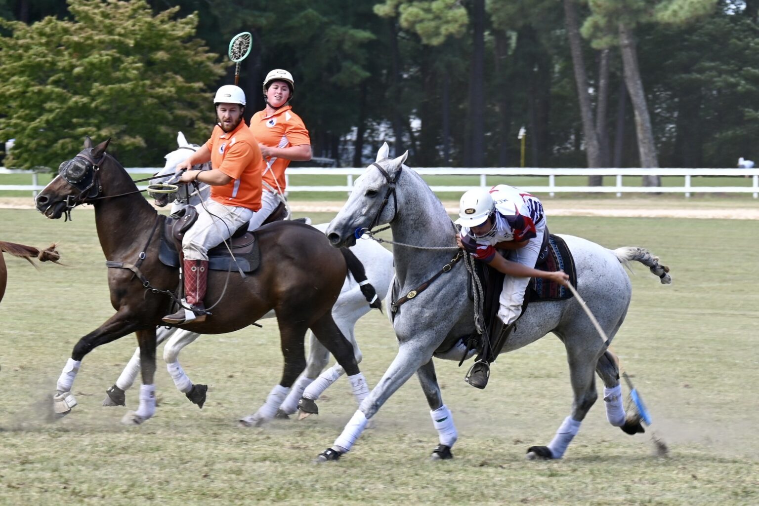 10 Reasons to Play Polocrosse | SC Polocrosse Equipment